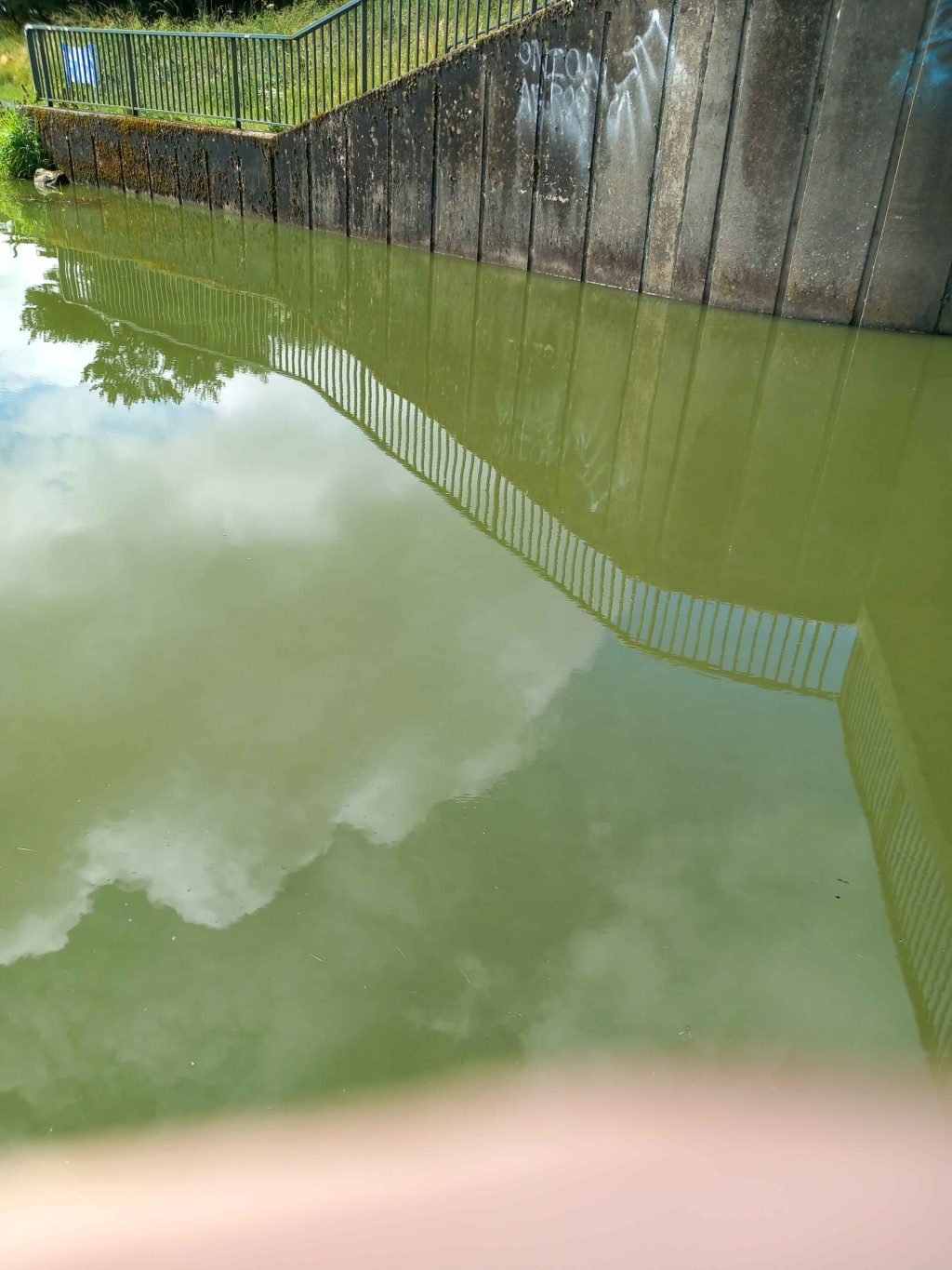 Bloomin Algae Record Map | iRecord