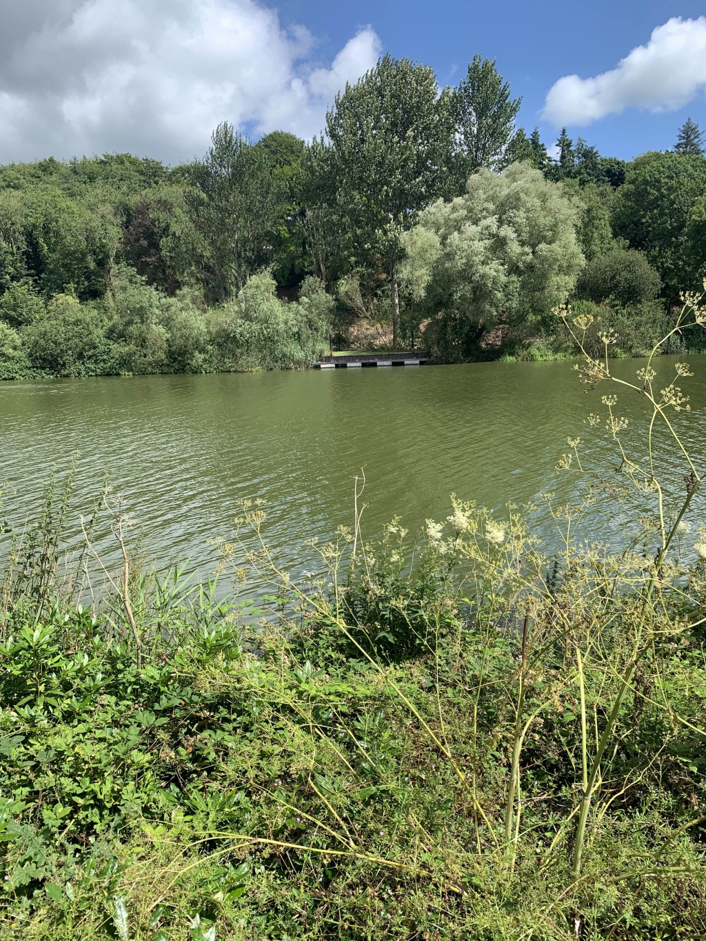 Bloomin Algae Record Map | iRecord