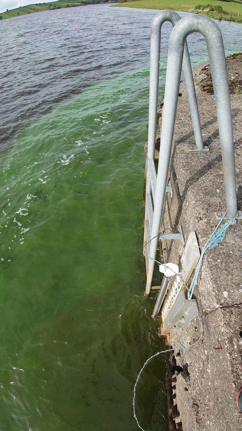 Bloomin Algae Record Map | iRecord