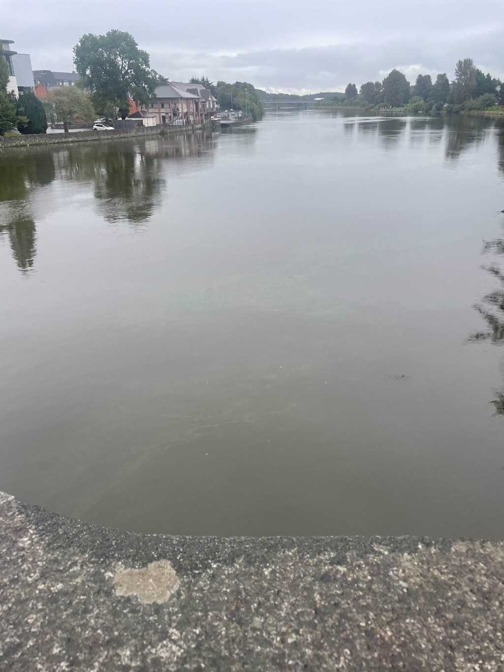 Bloomin Algae Record Map | iRecord