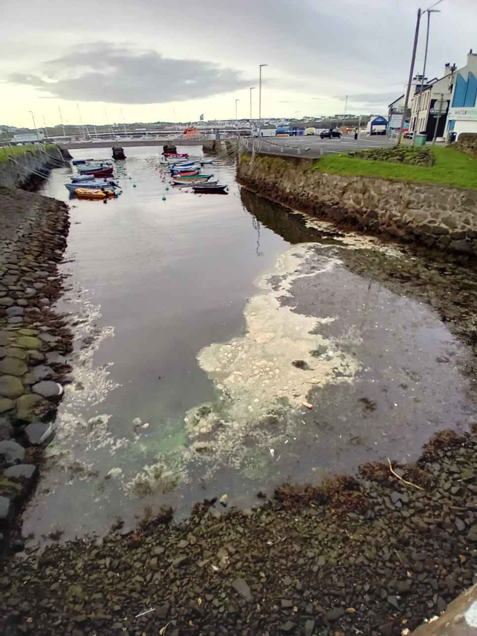 Bloomin Algae Record Map | iRecord