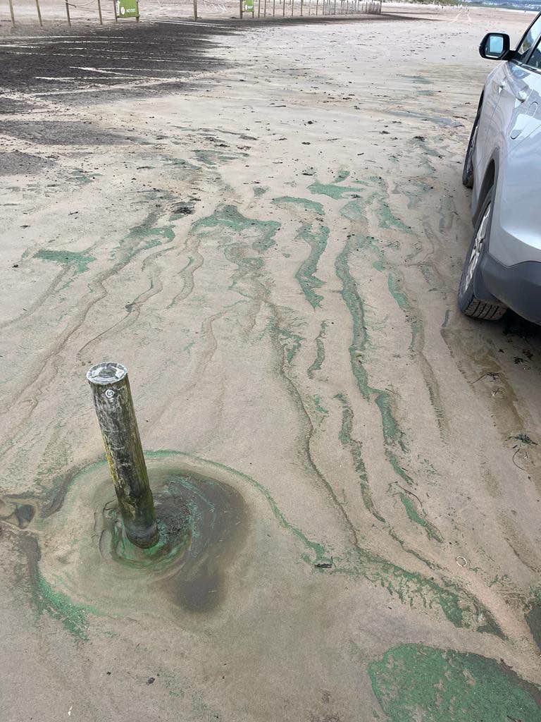 Bloomin Algae Record Map | iRecord