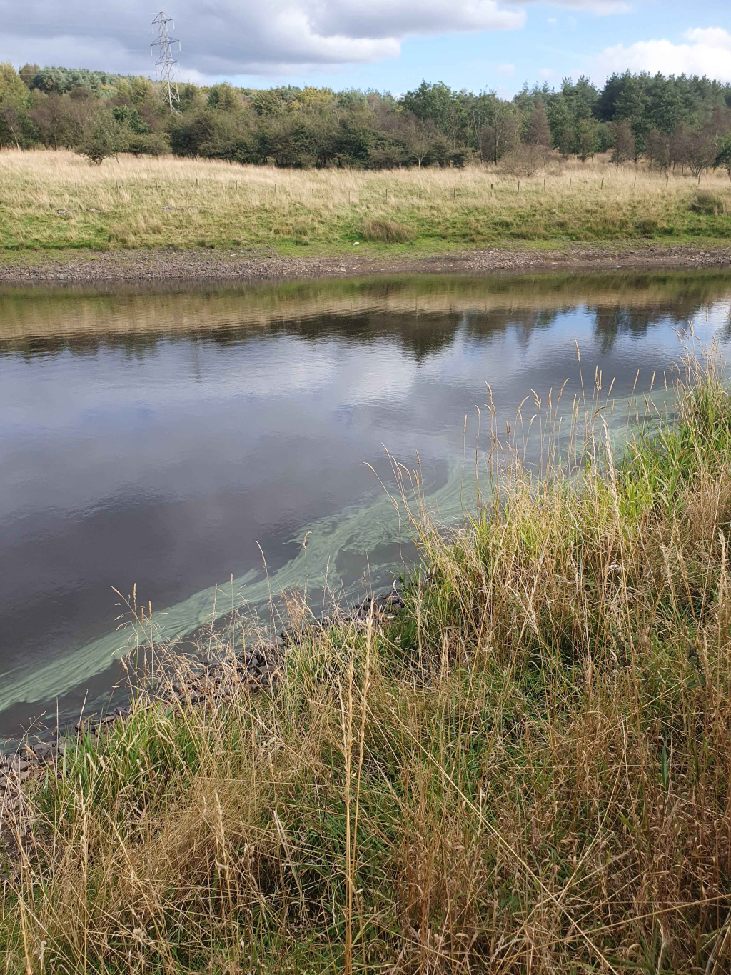 Bloomin Algae Record Map | iRecord