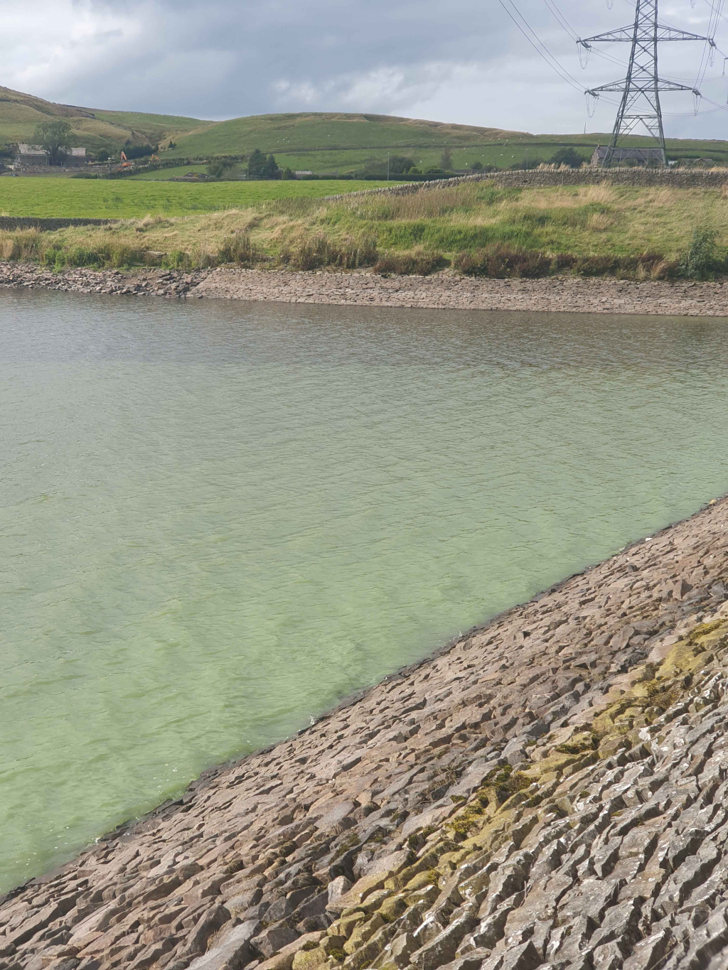 Bloomin Algae Record Map | iRecord