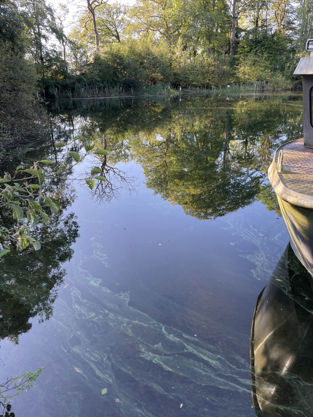 Bloomin Algae Record Map | iRecord