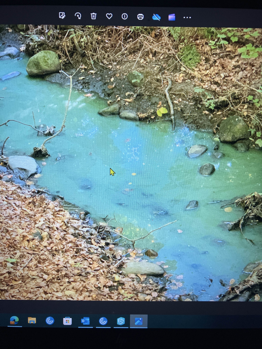 Bloomin Algae Record Map | iRecord