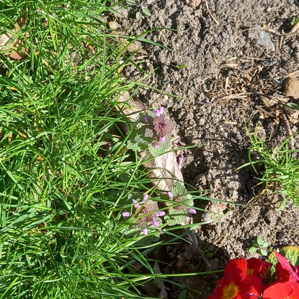 Find A Grave At Gilroes Cemetery